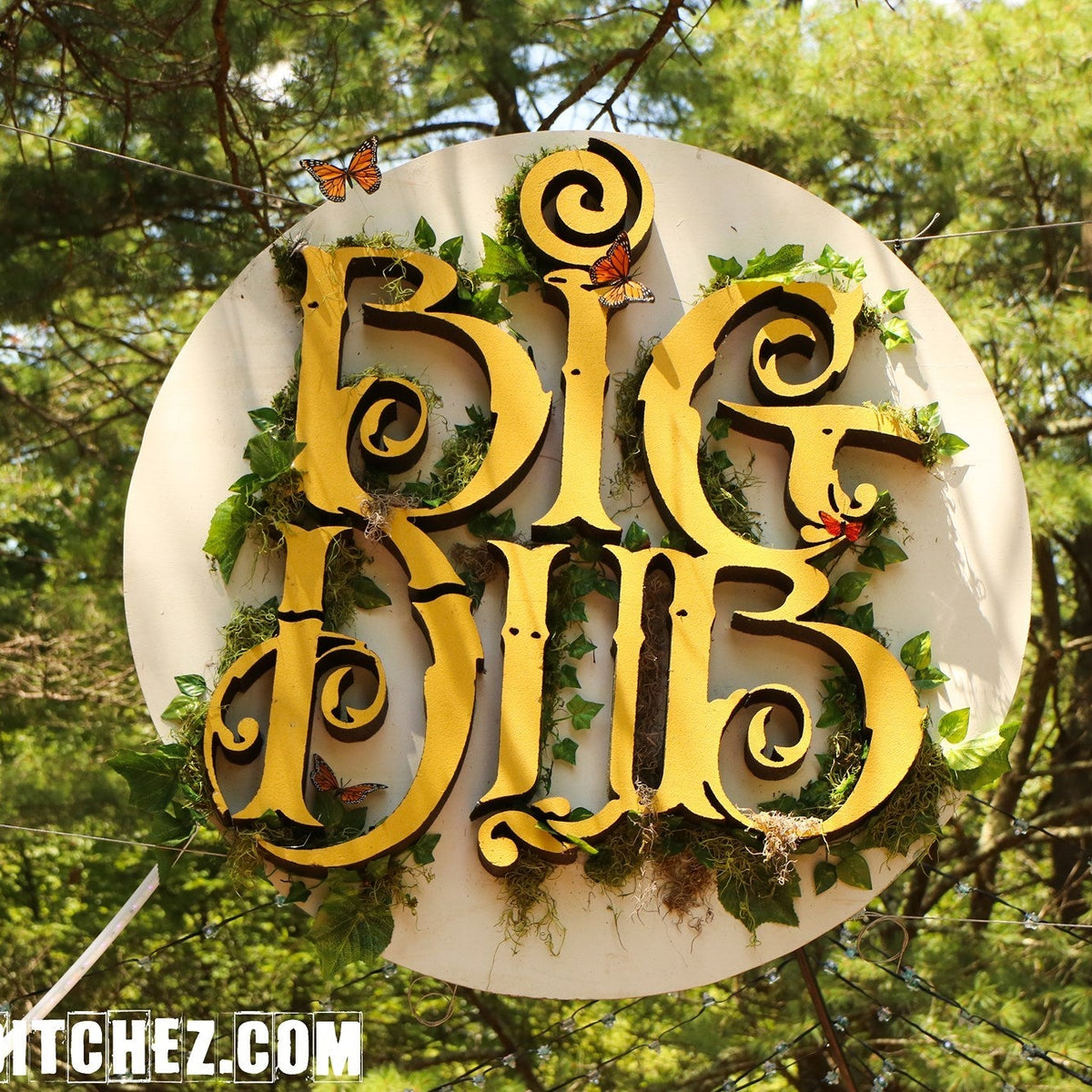 Big Dub Festival – iHeartRaves