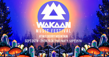 The Ultimate Guide To Wakaan – iHeartRaves