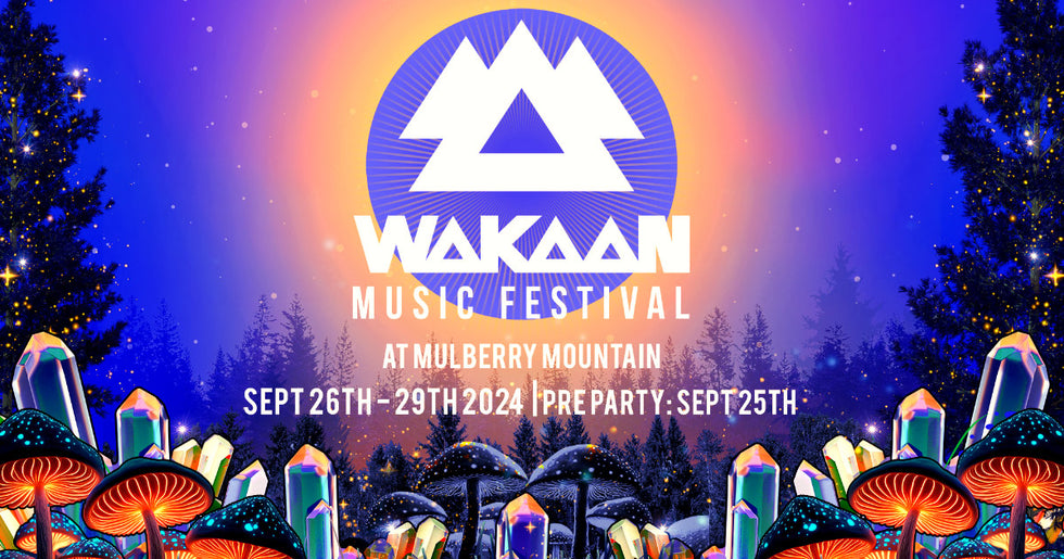 The Ultimate Guide To Wakaan – iHeartRaves